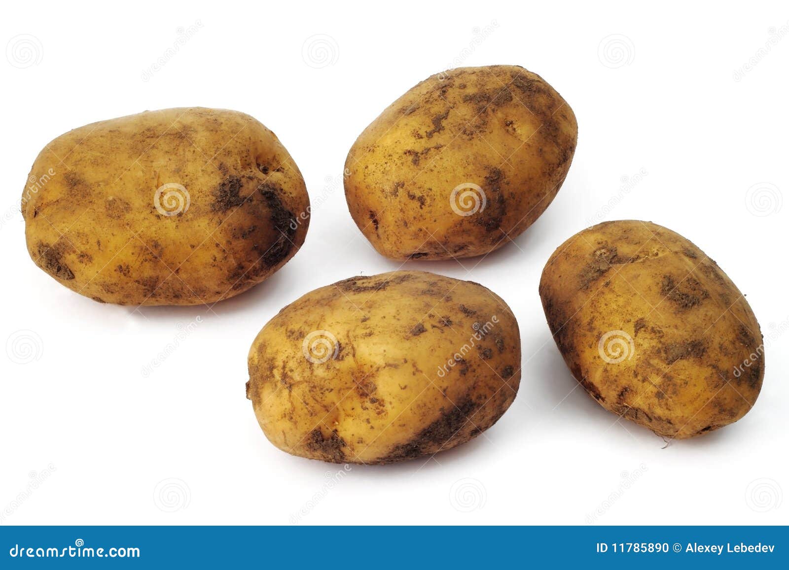 Plain potatoes stock photo. Image of ingredient, brown - 11785890