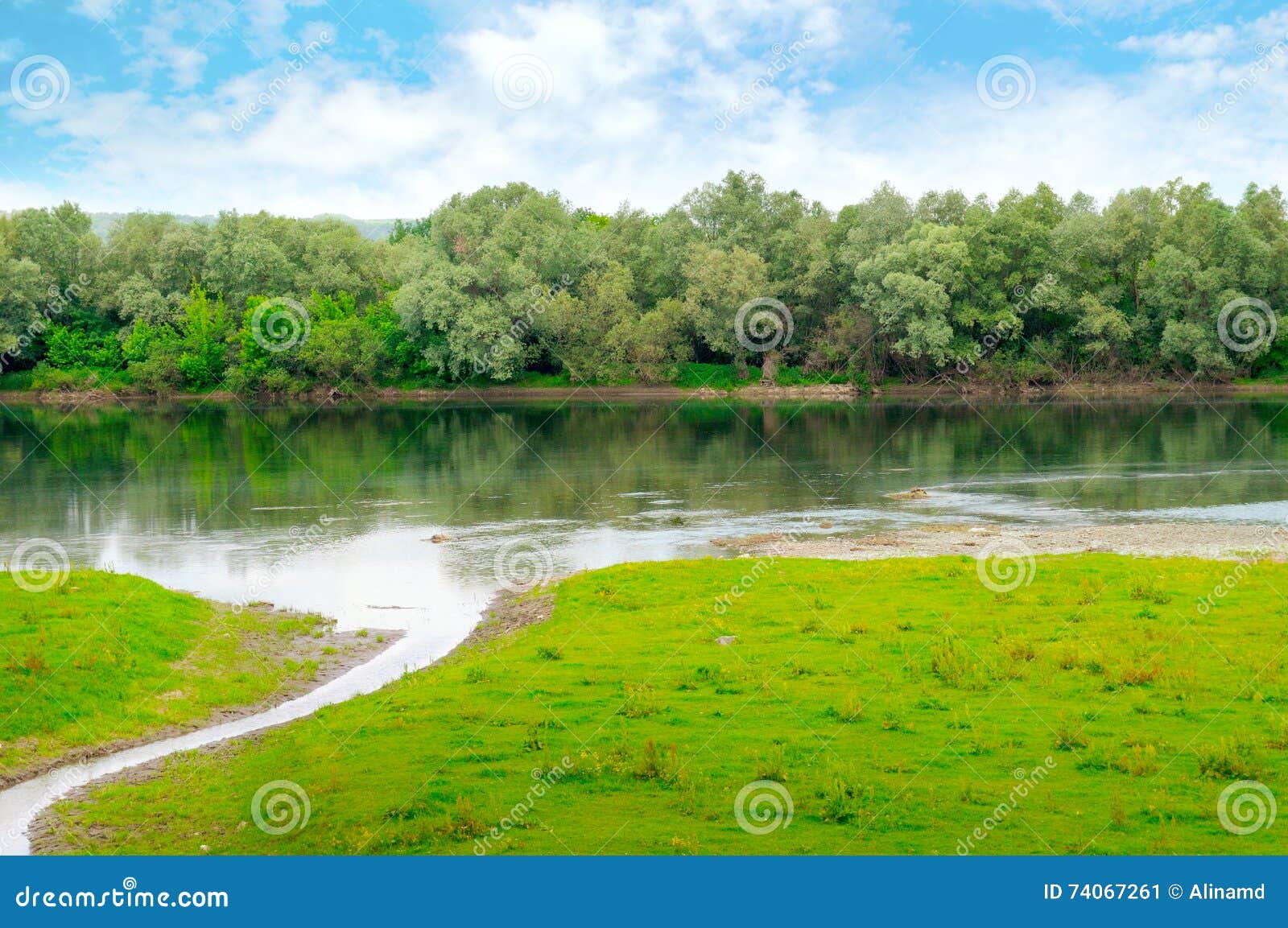 Plain River with Inflows and Floodplain Forest Stock Image - Image of ...