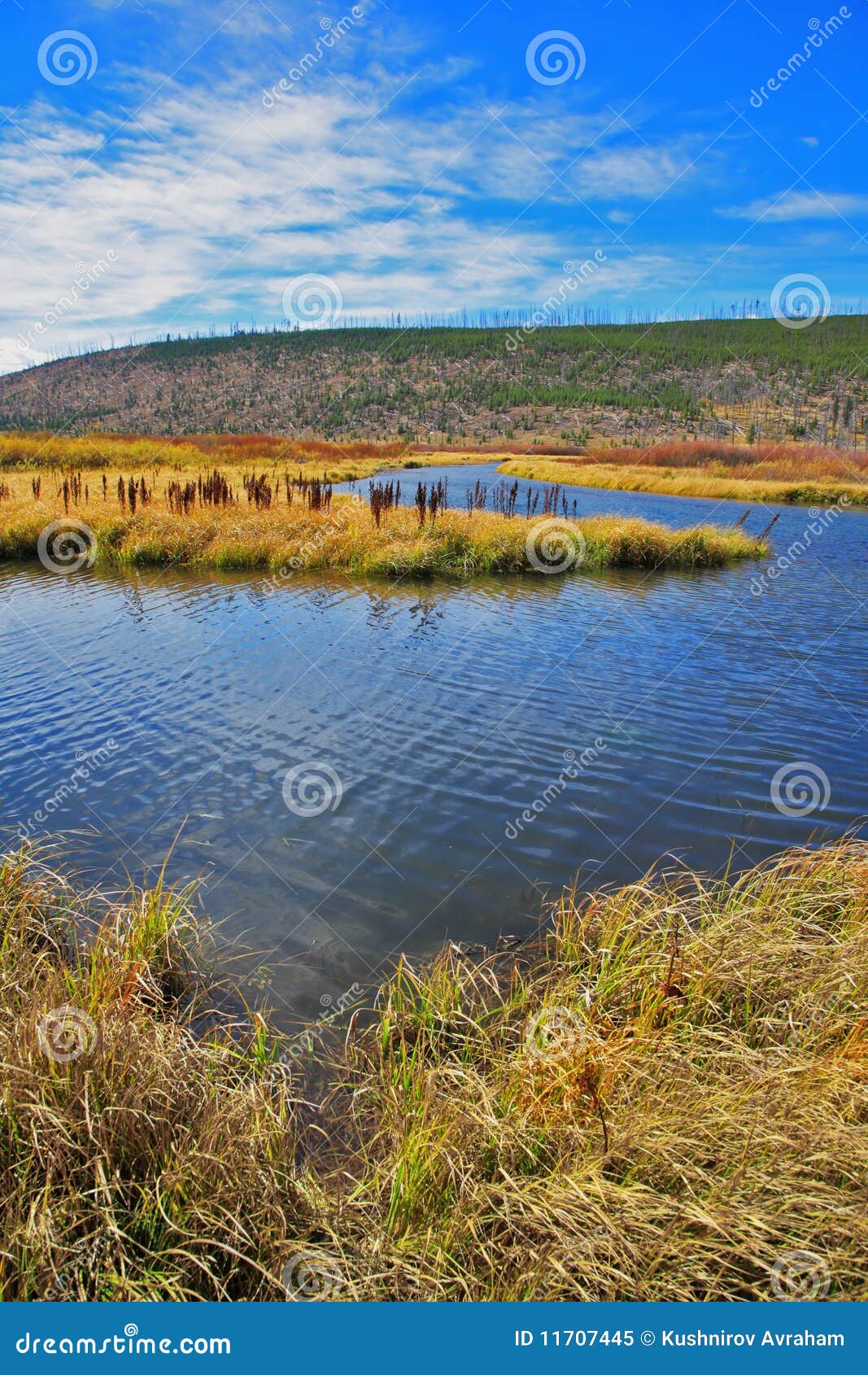 Plain and stream stock image. Image of arid, natural - 11707445