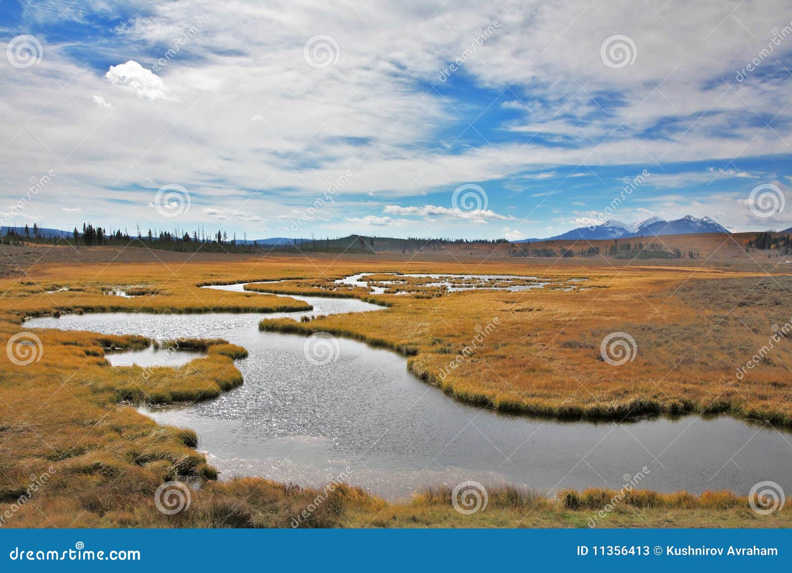 The Plain and Stream in Yellowstone National Park Stock Image - Image ...