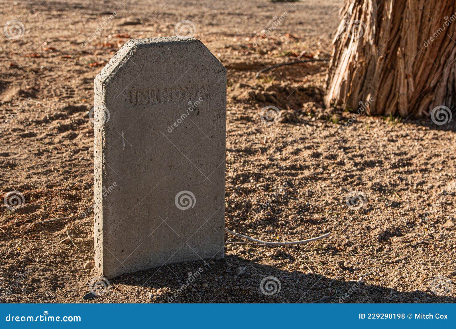 Plain Tombstone editorial stock photo. Image of memorial - 229290198
