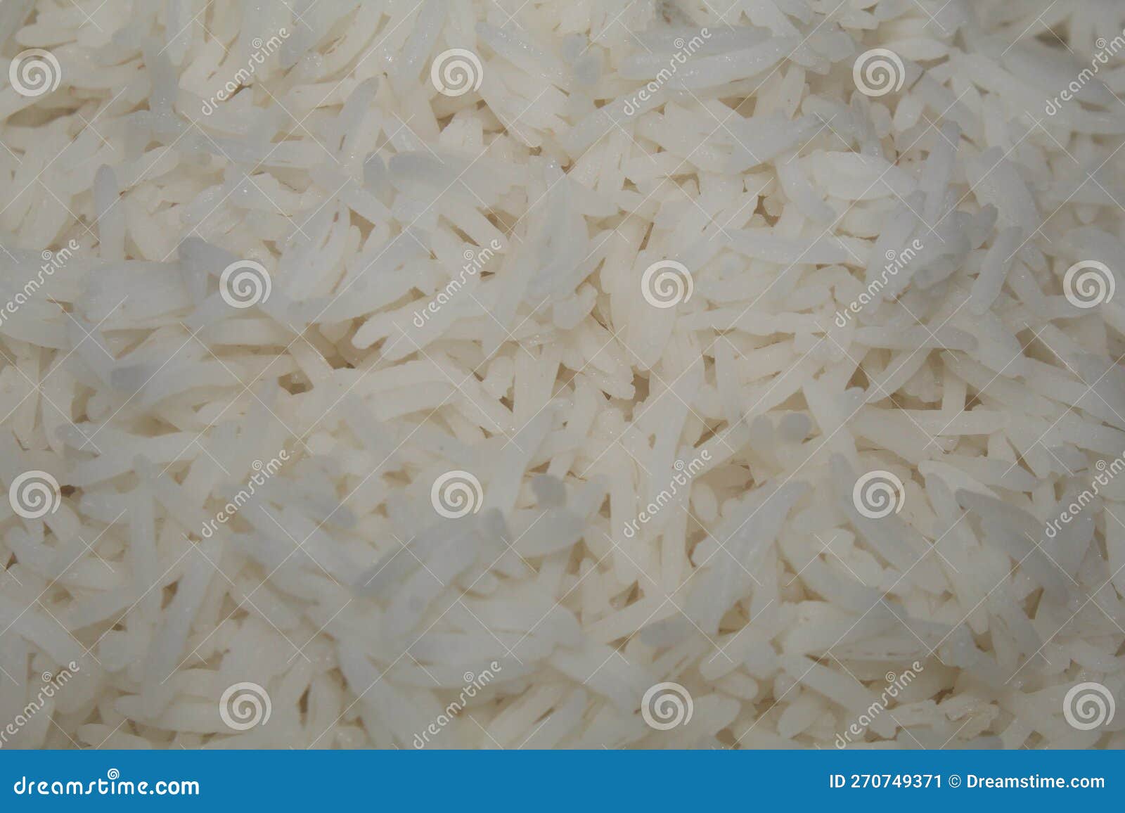 Plain white boiled rice stock image. Image of vegetable - 270749371