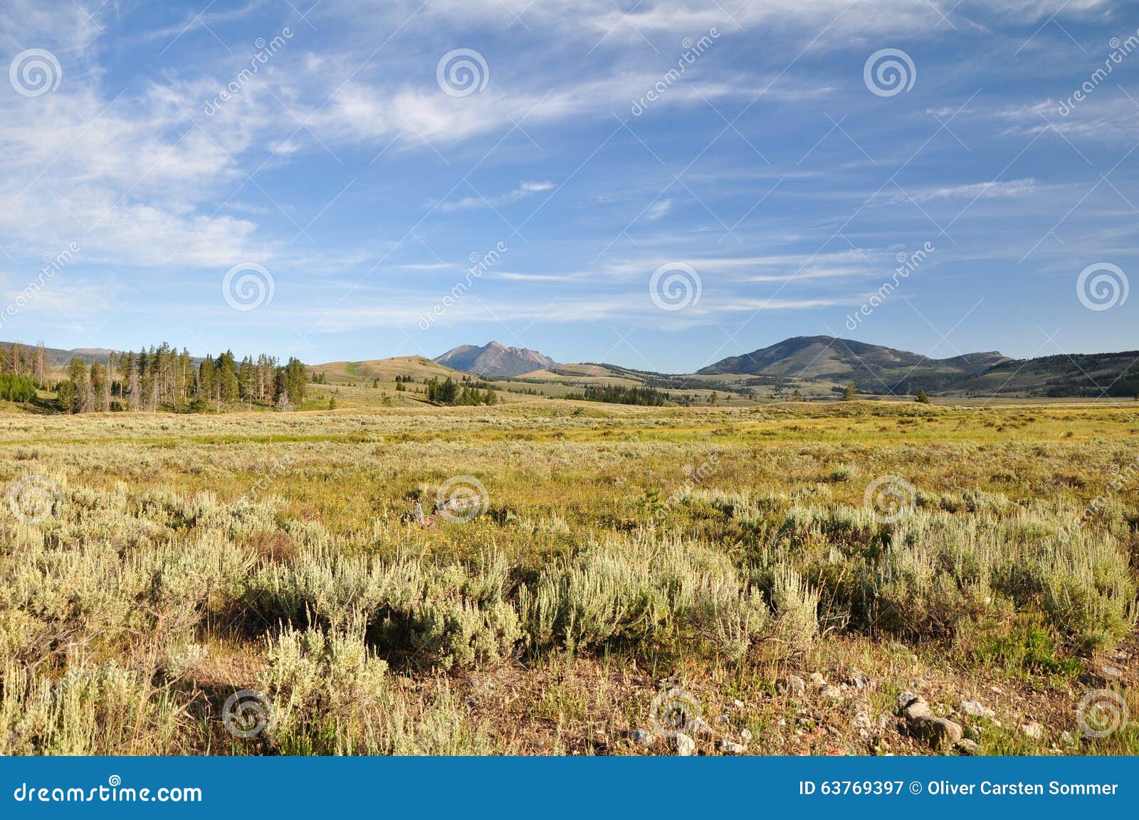 Plain in Yellowstone stock image. Image of level, plain - 63769397
