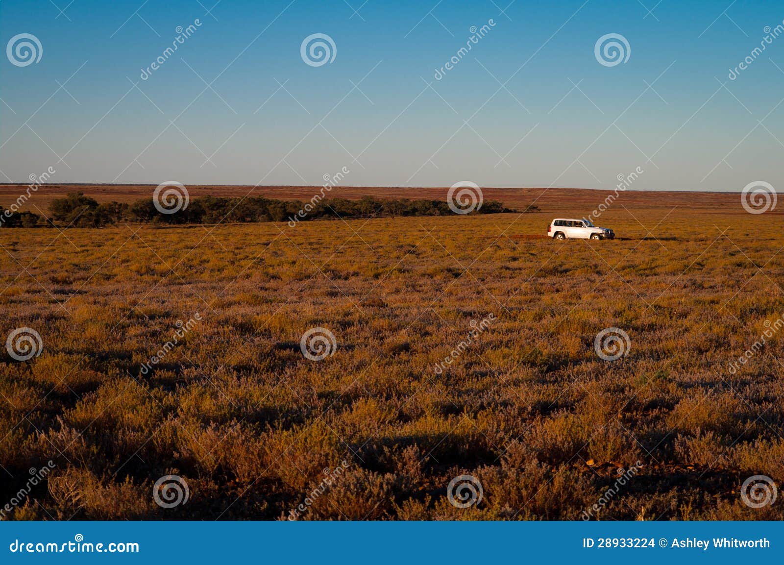 Plains in afternoon light stock photo. Image of mitchell - 28933224