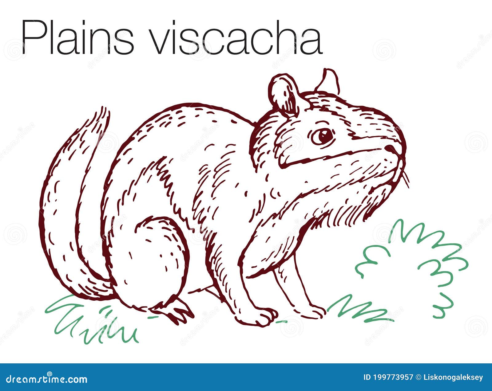Plains Viscacha Hand Drawn Vector Illustration Stock Vector ...