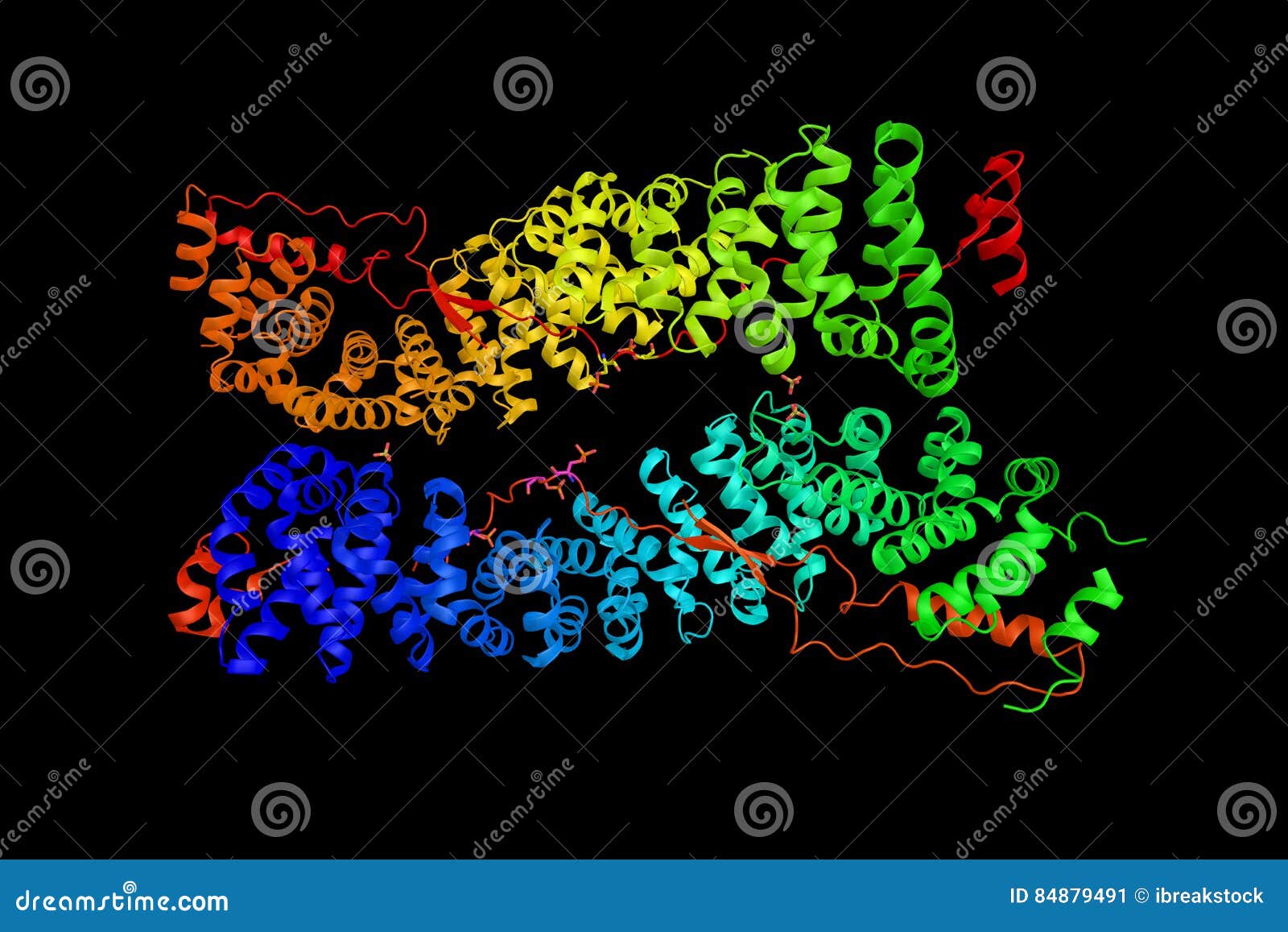Plakoglobin, a Protein Which is a Cytoplasmic Component of Desmosomes ...