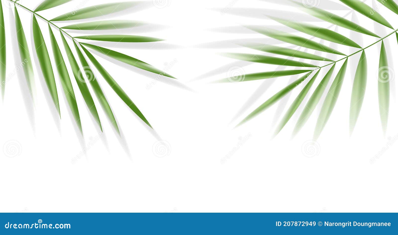 Plam Leaves Paint Blue Color Pastel Isolated On White Background Stock ...