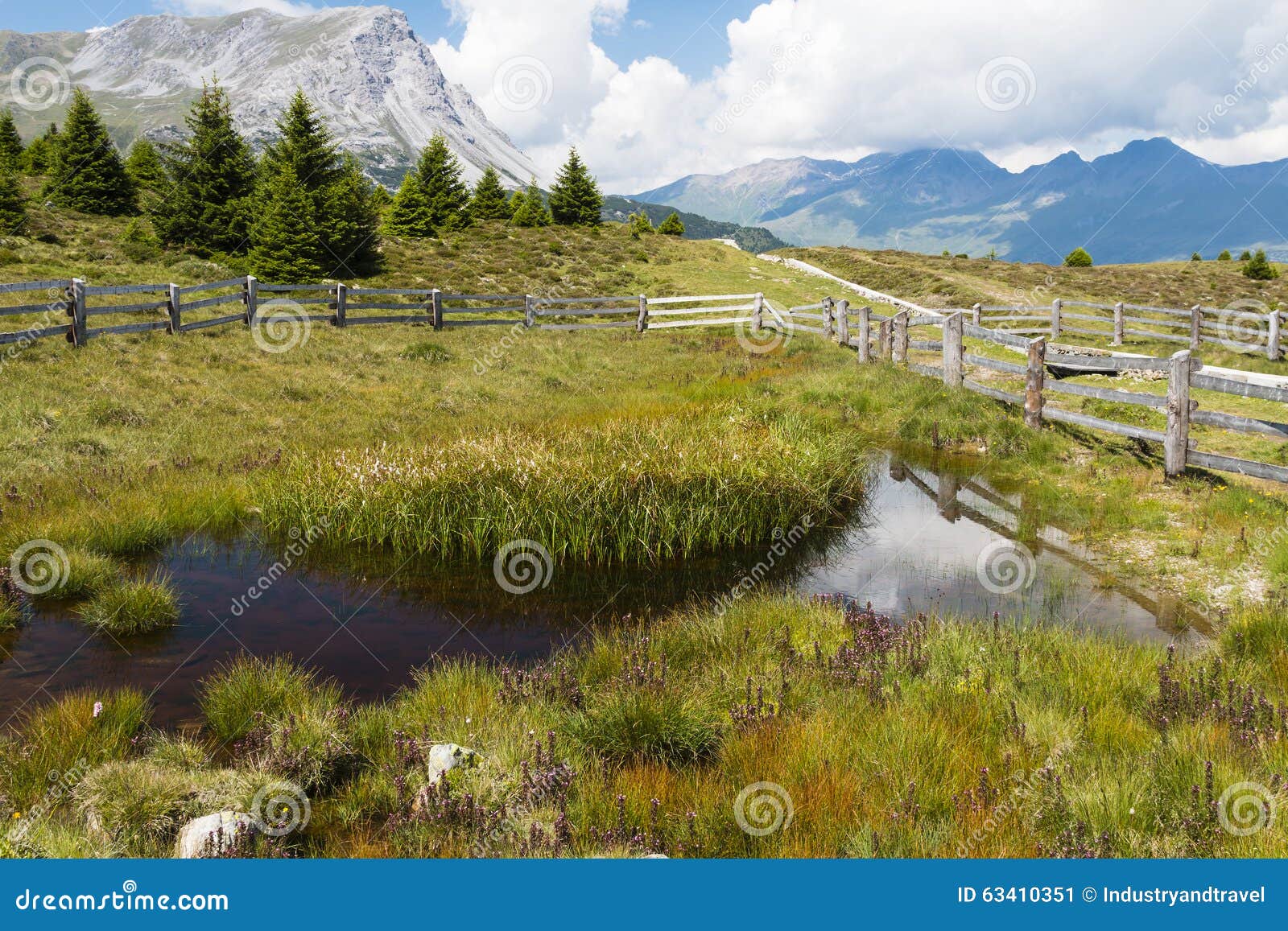 Plamort Hill Moor, Austria stock image. Image of grass - 63410351
