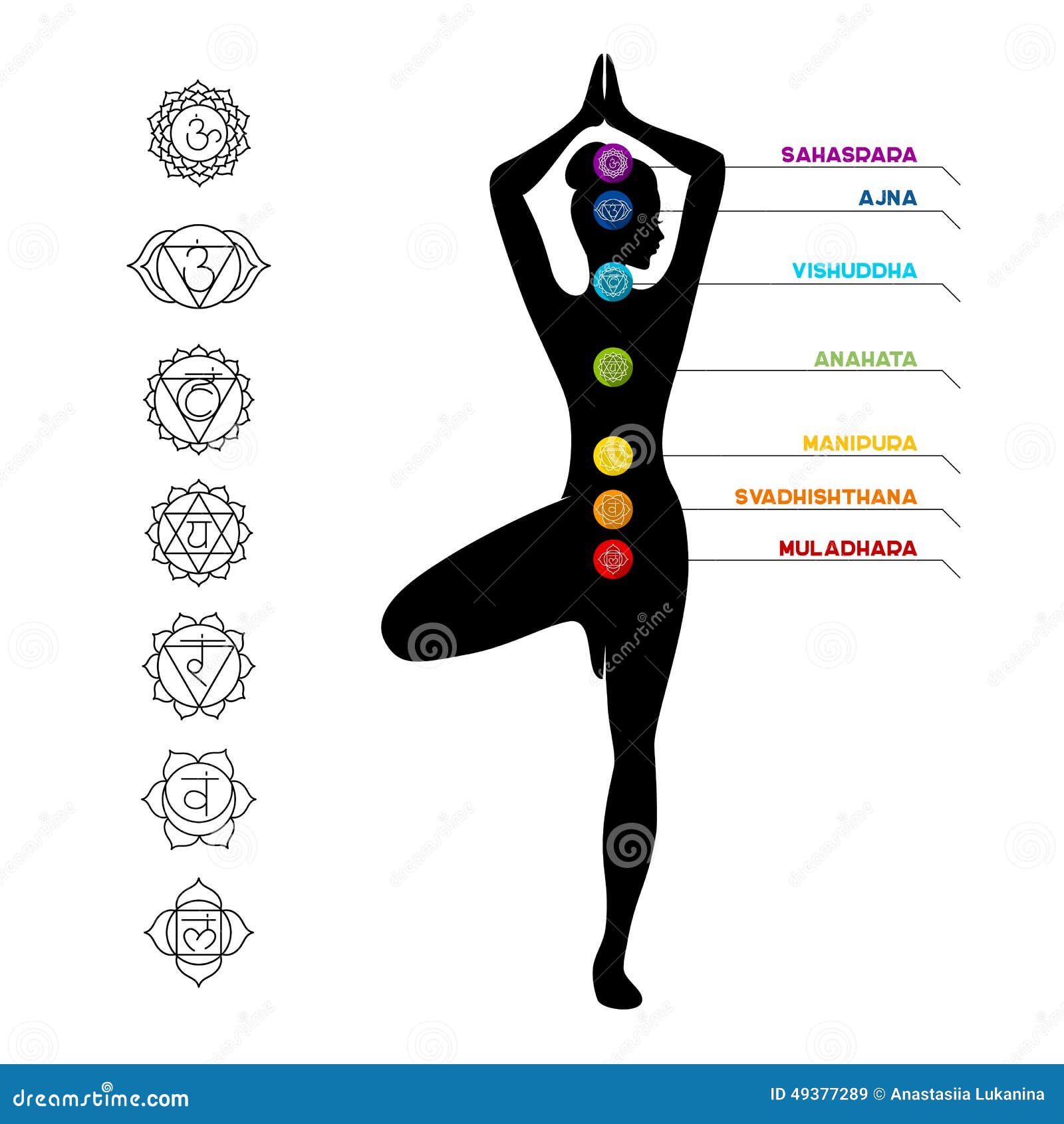 Plan De Chakra De Couleur Sur Le Fond Blanc Illustration Stock ...