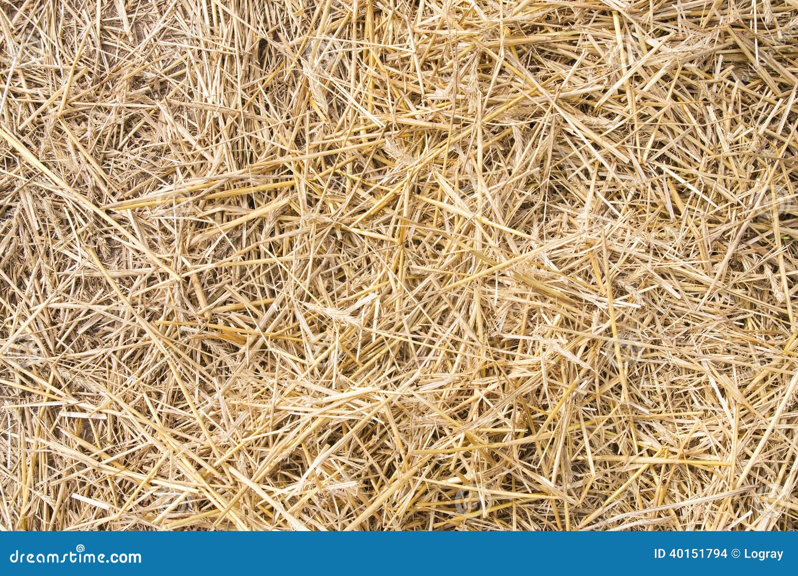 Plan Rapproché De Foin De Texture En Couleurs. Photo stock - Image du ...