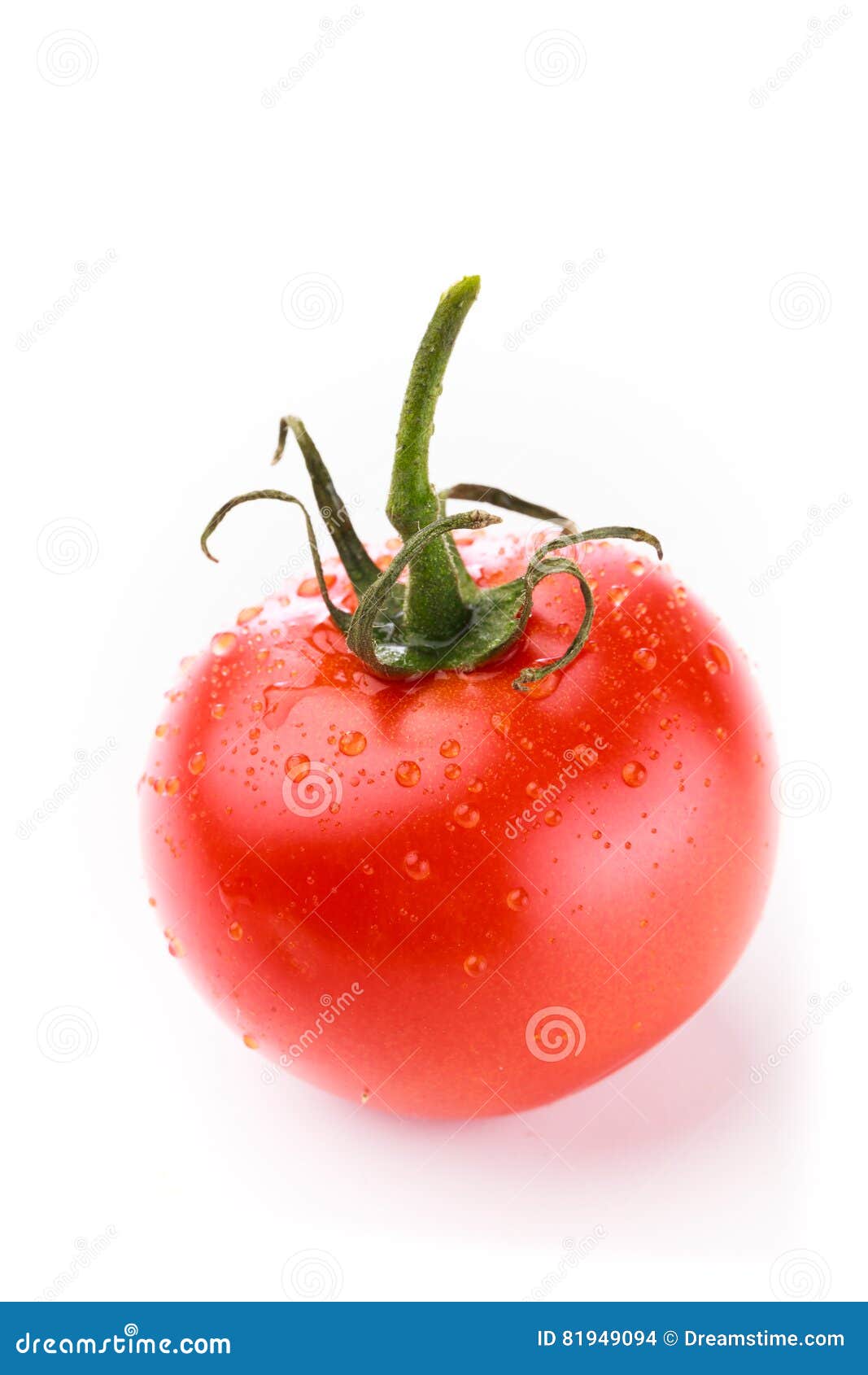 Plan Rapproché De Tomate Circulaire Rouge Simple De Tige Verte Photo ...