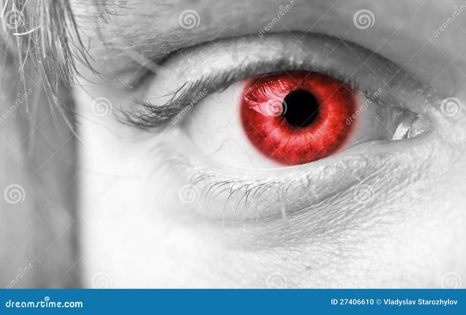 Plan Rapproché L'oeil Rouge De Vampires Photo stock - Image du voyez ...