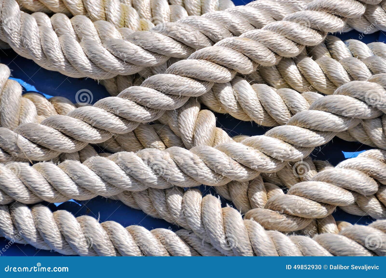 Plan Rapproché Marin De Corde Photo stock - Image: 49852930