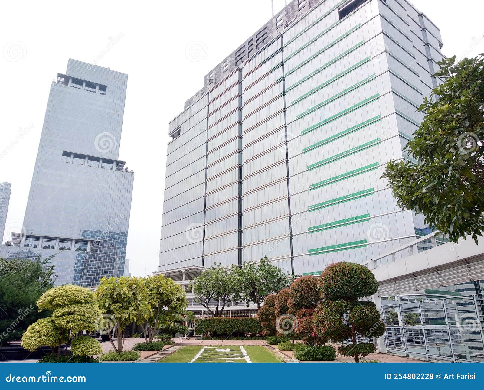 Plan on the Rooftop Building Bush Plant Green Stock Photo - Image of ...