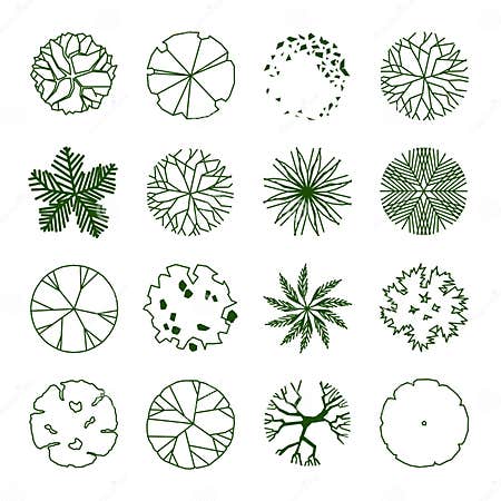 Plan Tree icon stock vector. Illustration of flora, isolated - 168697964