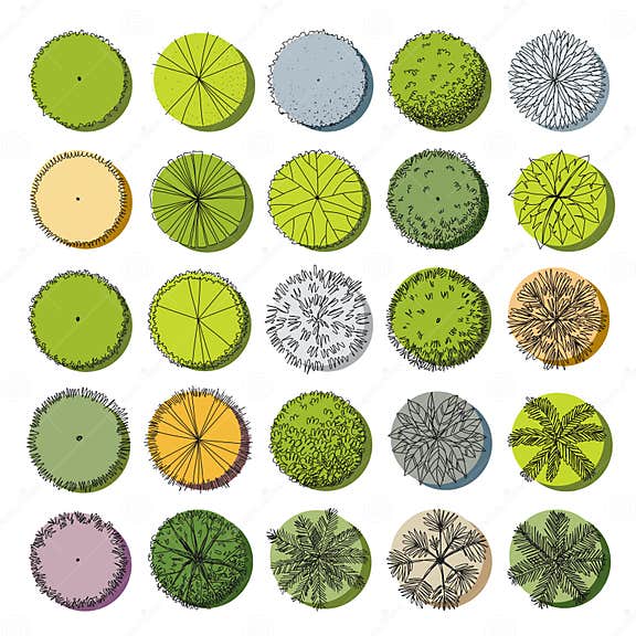 Free Hand Drawn Doodle Plan View Tree Stock Vector - Illustration of ...