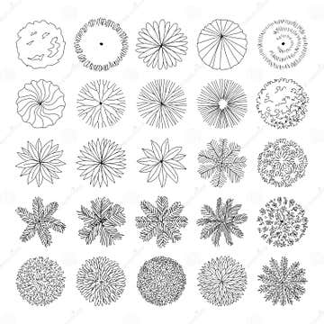 Hand Drawn Doodle Plan Tree Stock Vector - Illustration of landscape ...