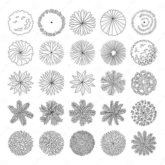 Hand Drawn Doodle Plan Tree Stock Vector - Illustration of landscape ...