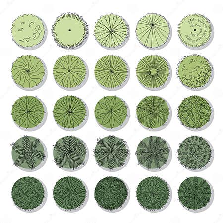 Plan View Tree for Landscape Stock Vector - Illustration of hand ...