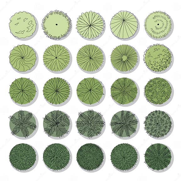 Plan View Tree for Landscape Stock Vector - Illustration of hand ...