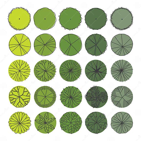 Plan View Tree for Landscape Stock Vector - Illustration of circle ...