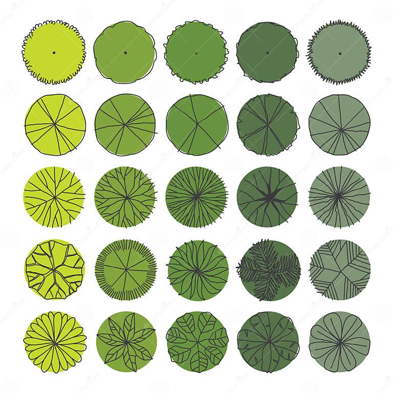Plan View Tree for Landscape Stock Vector - Illustration of circle ...