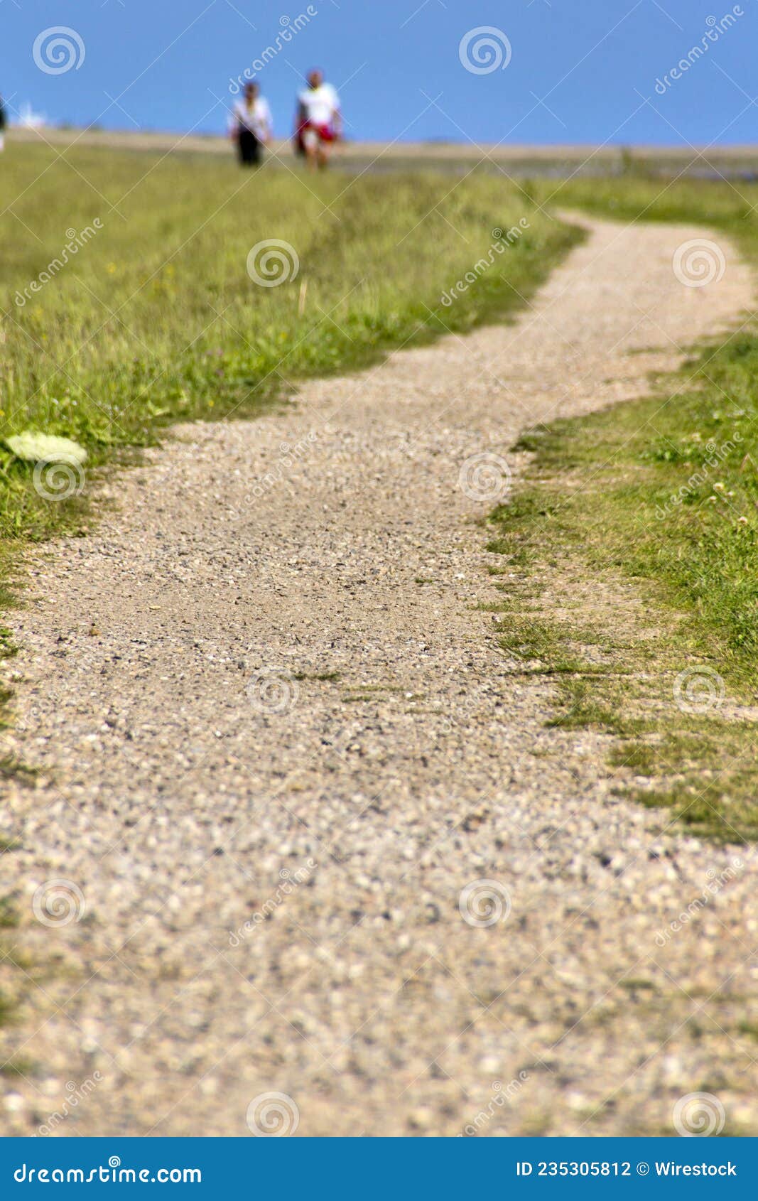Plan Vertical D'un Chemin Sur La Digue Photo stock - Image du pâturage ...