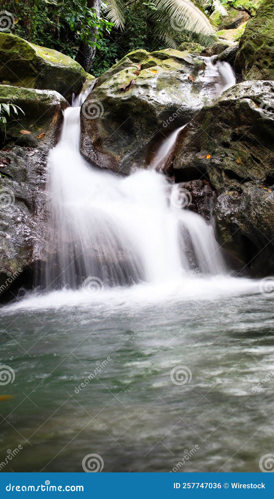 Plan Vertical D'un Paysage Naturel D'une Cascade Photo stock - Image du ...