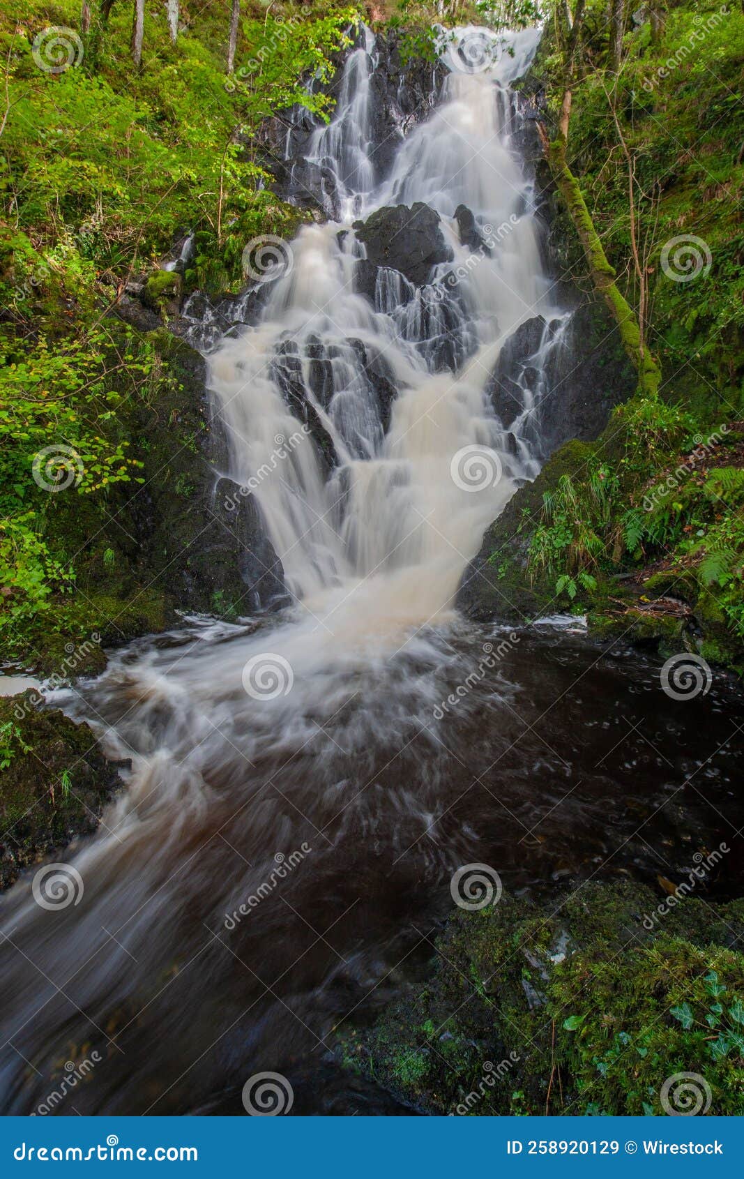Plan Vertical D'une Cascade D'eau Avec Mousse Verte Et Plantes. Image ...