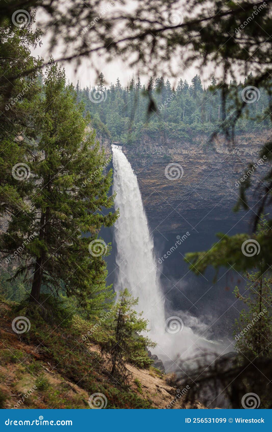 Plan Vertical D'une Cascade En Continu Image stock - Image du ...