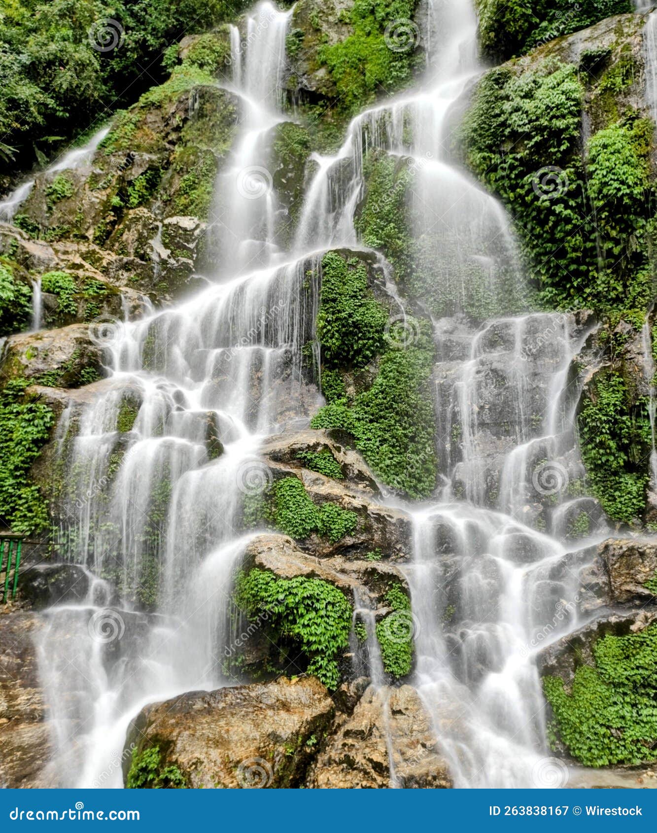 Plan Vertical D'une Cascade Survolant Des Rochers Mousseux Image stock ...