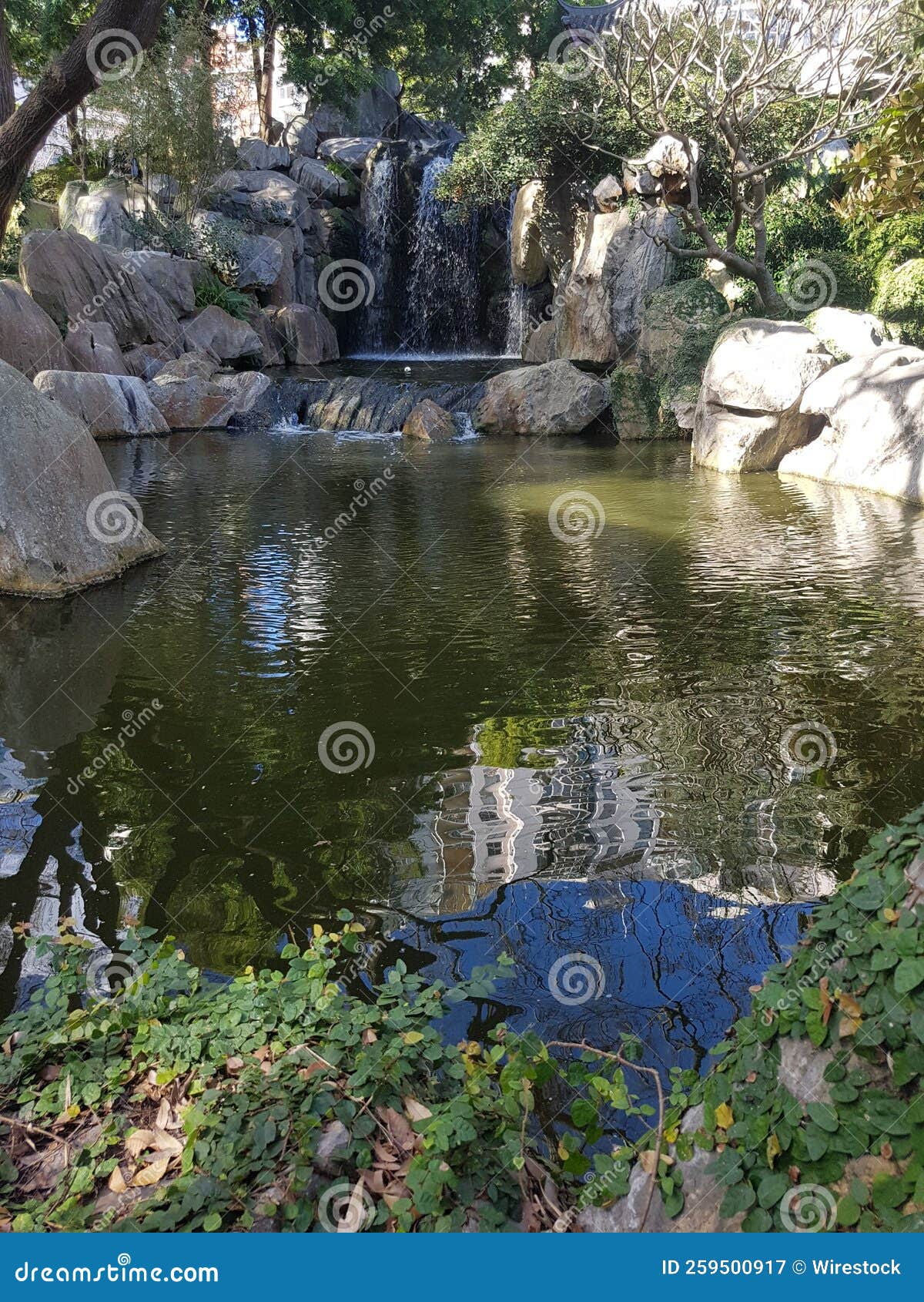 Plan Vertical D'une Petite Cascade De Jardin Sydney Australia Image ...