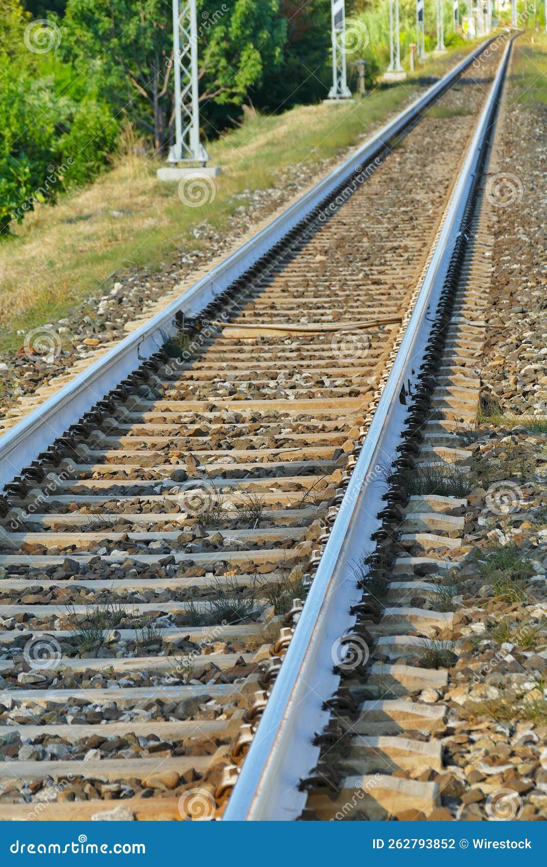 Plan Vertical D'une Voie Ferroviaire Droite Photo stock - Image du ...
