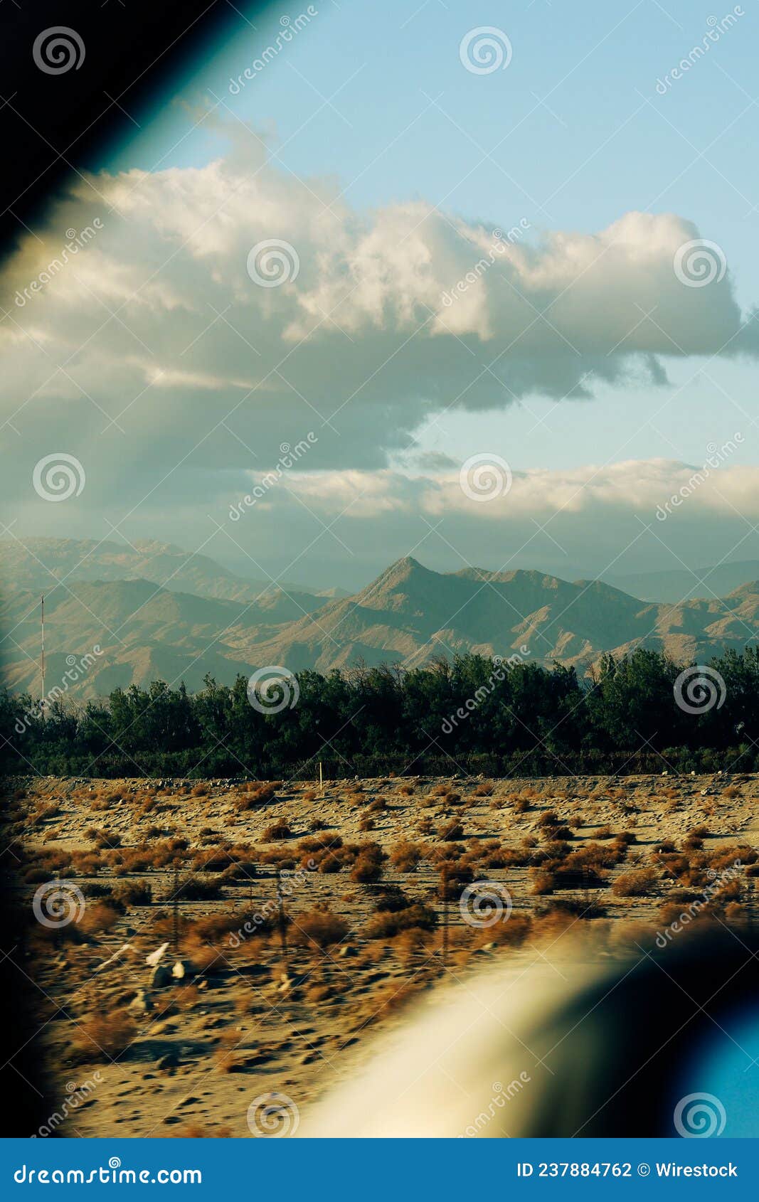 Plan Vertical D'une Zone Aride Avec Montagnes Et Arbres Photo stock ...