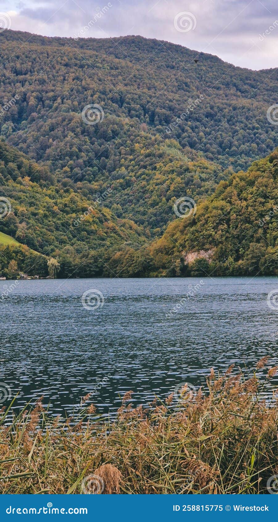 Plan Vertical De La Colline Verte Au Lac Image stock - Image du saison ...