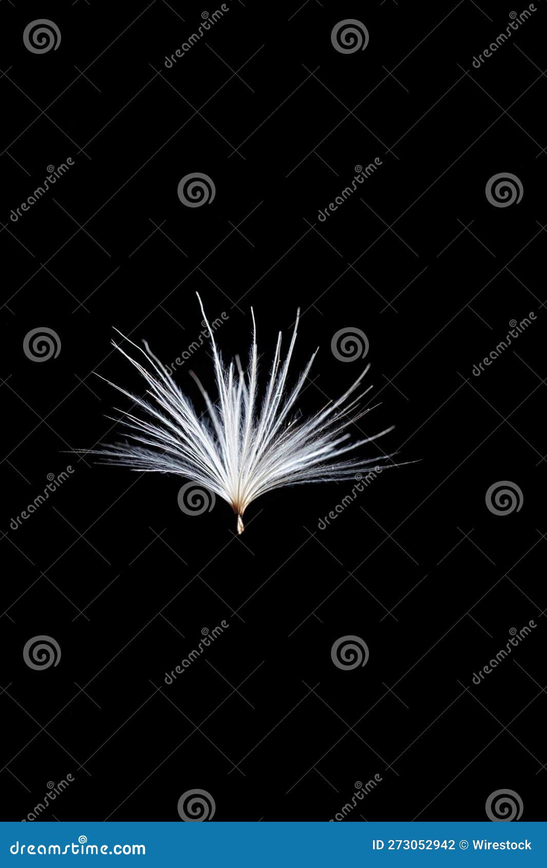 Plan Vertical De Plumes Blanches Flottantes Sur Fond Noir Photo stock ...