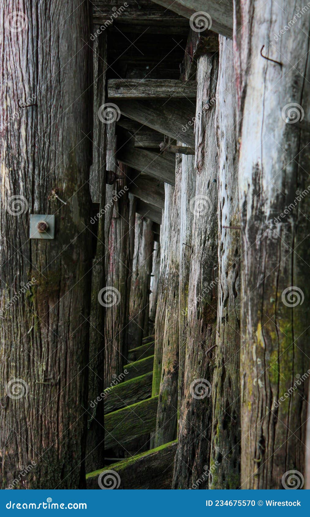 Plan Vertical De Poteaux En Bois Sous Le Pont Photo stock - Image du ...