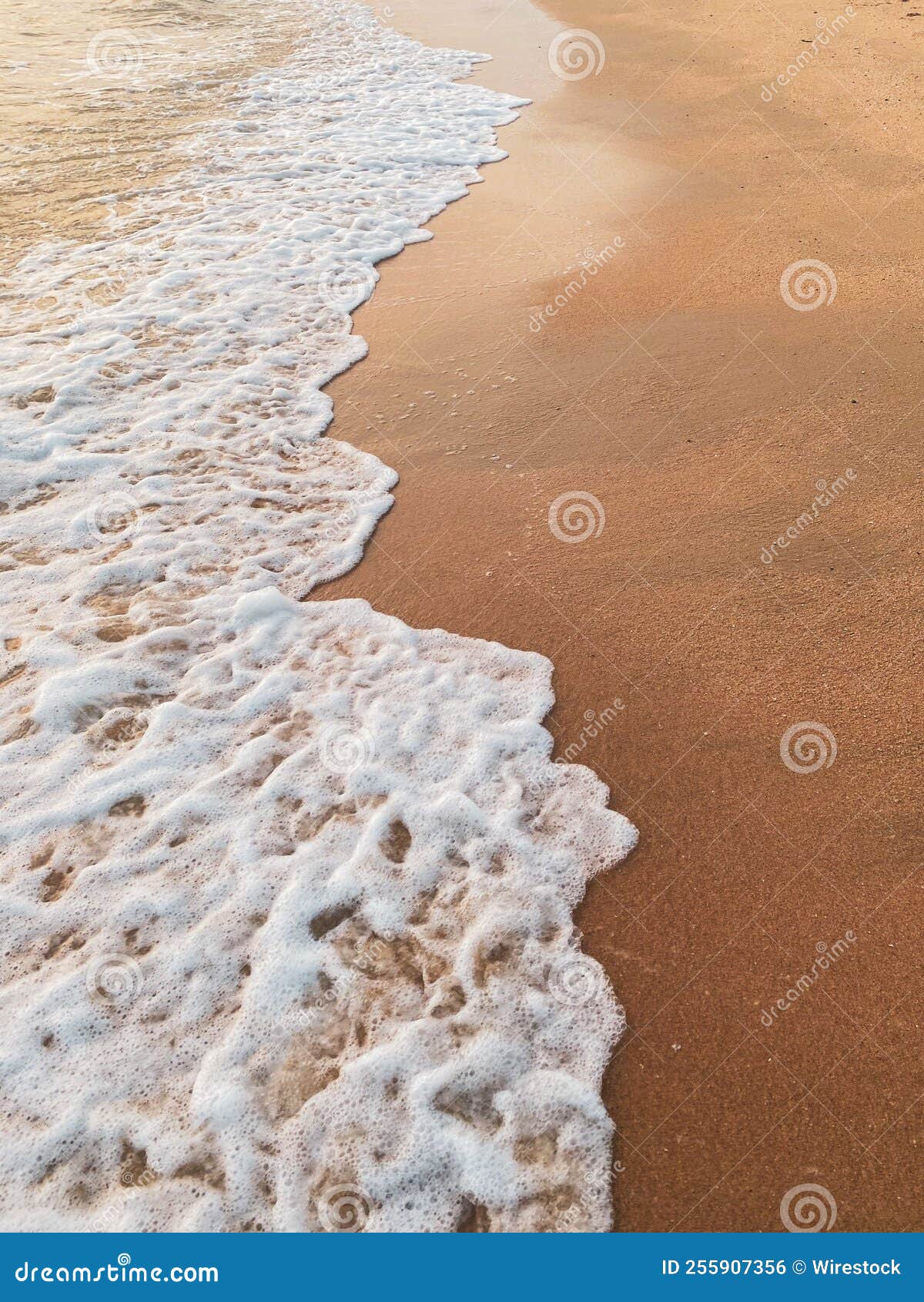 Plan Vertical Des Vagues De Plage Photo stock - Image du seascape ...