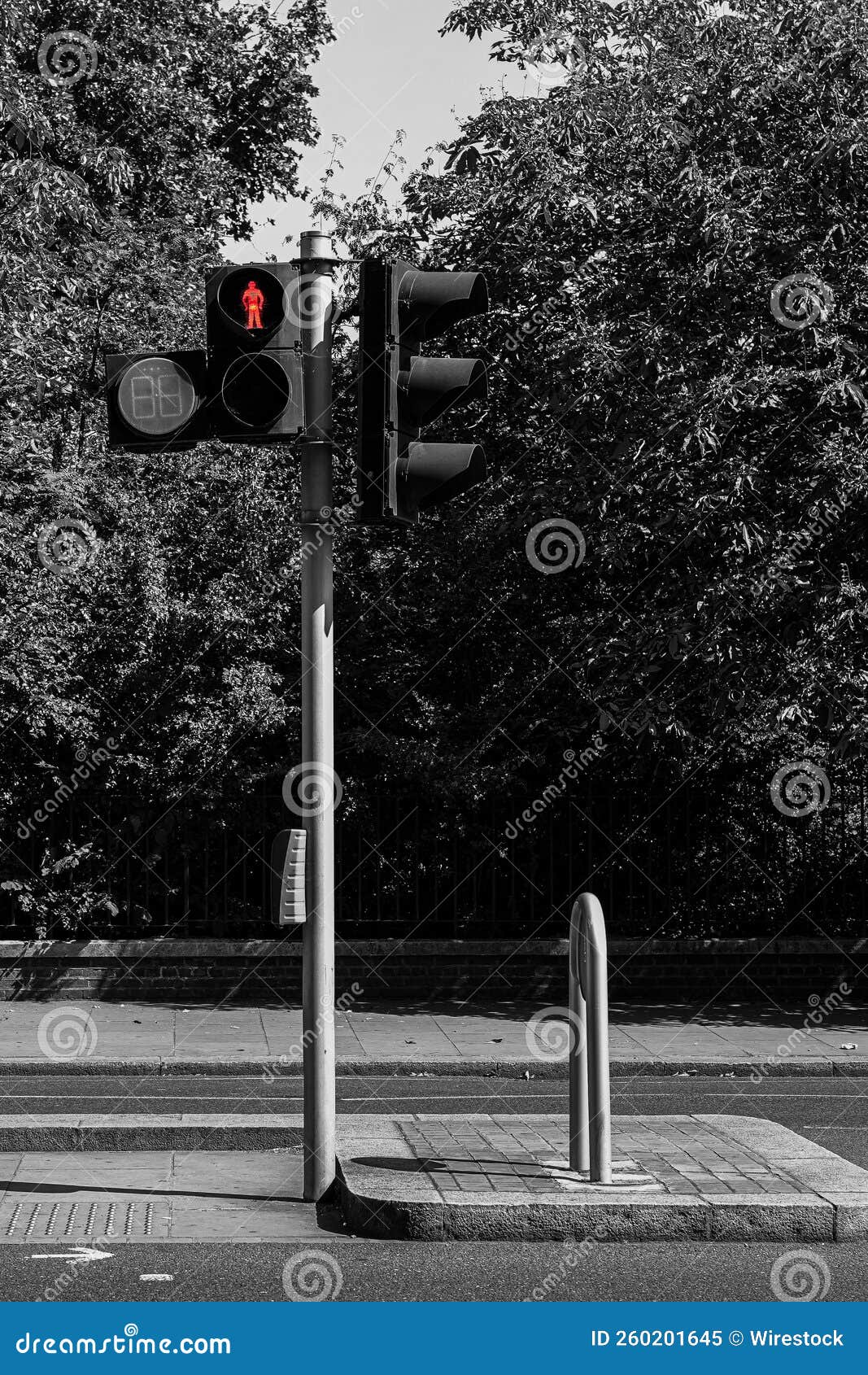 Plan Vertical Du Feu Rouge Par Une Route Image stock - Image du ...