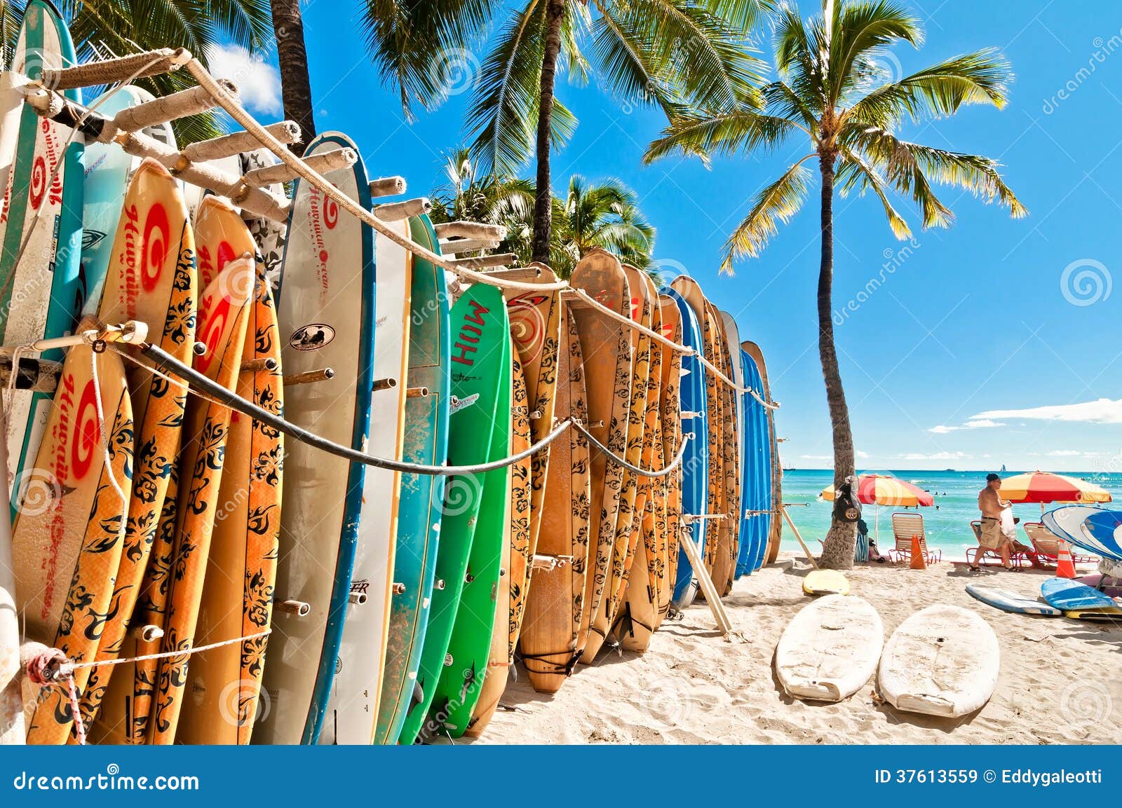 Planches De Surf Dans Le Support à La Plage De Waikiki Image stock ...