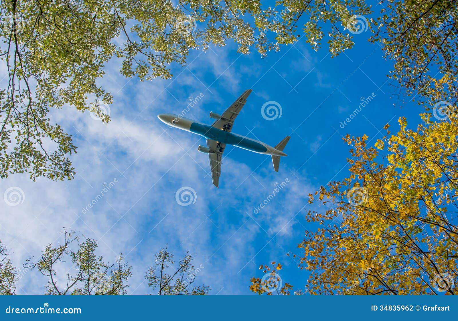Plane beneath trees stock photo. Image of departure, approach - 34835962