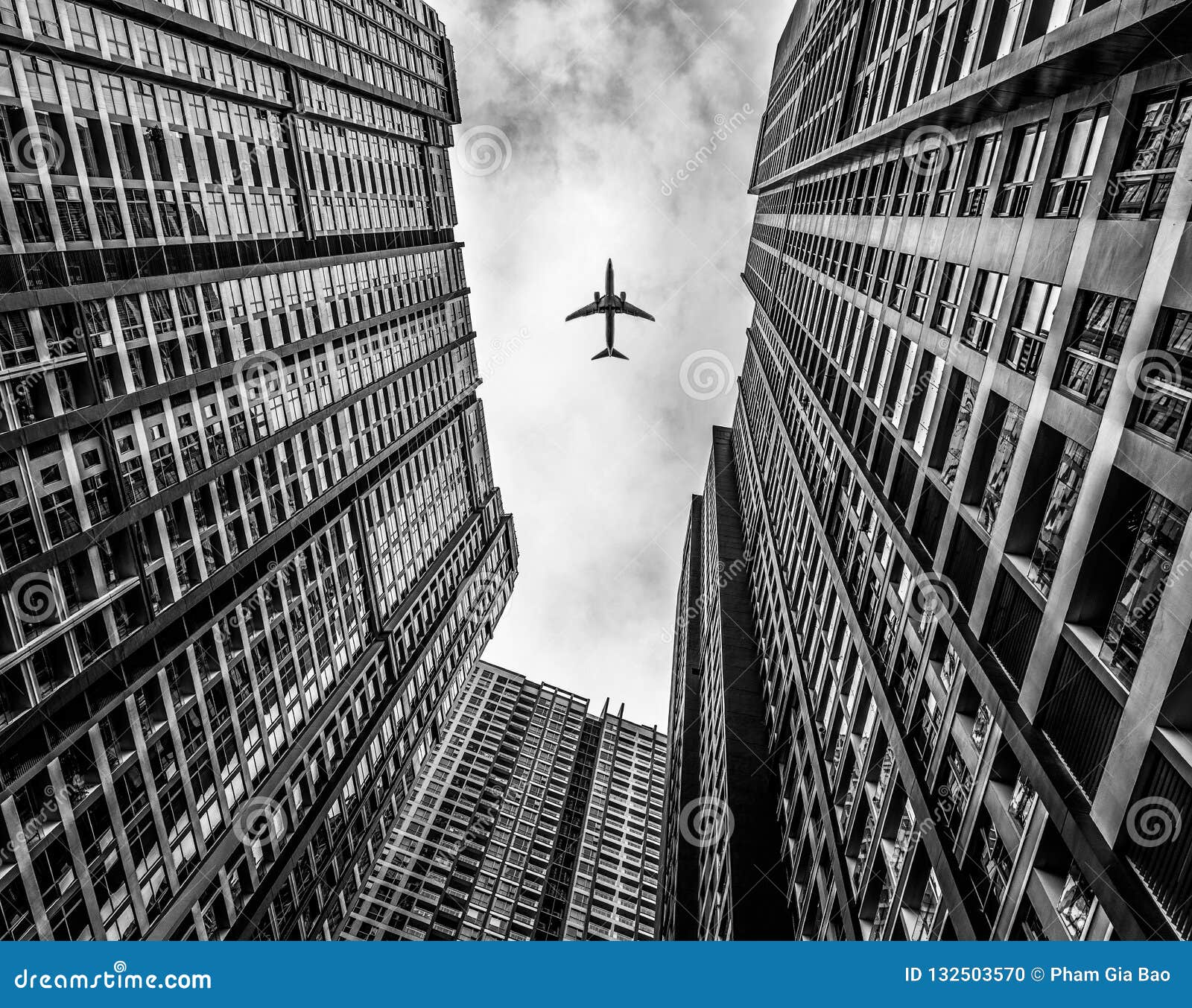 Plane and building stock photo. Image of fresh, flower - 132503570