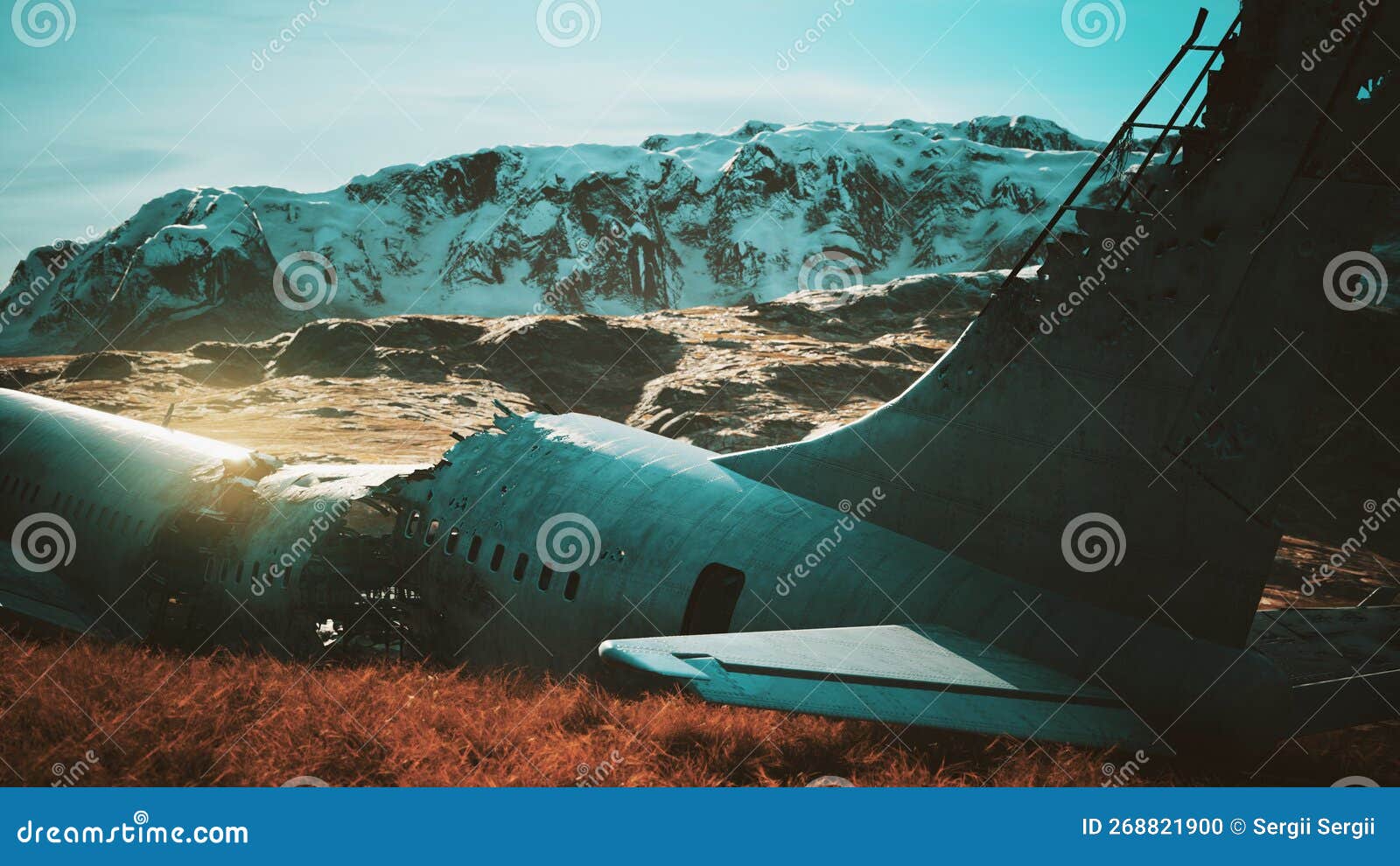 Old Plane Crashed Into A Tree - Ai Generated Image Royalty-Free Stock ...