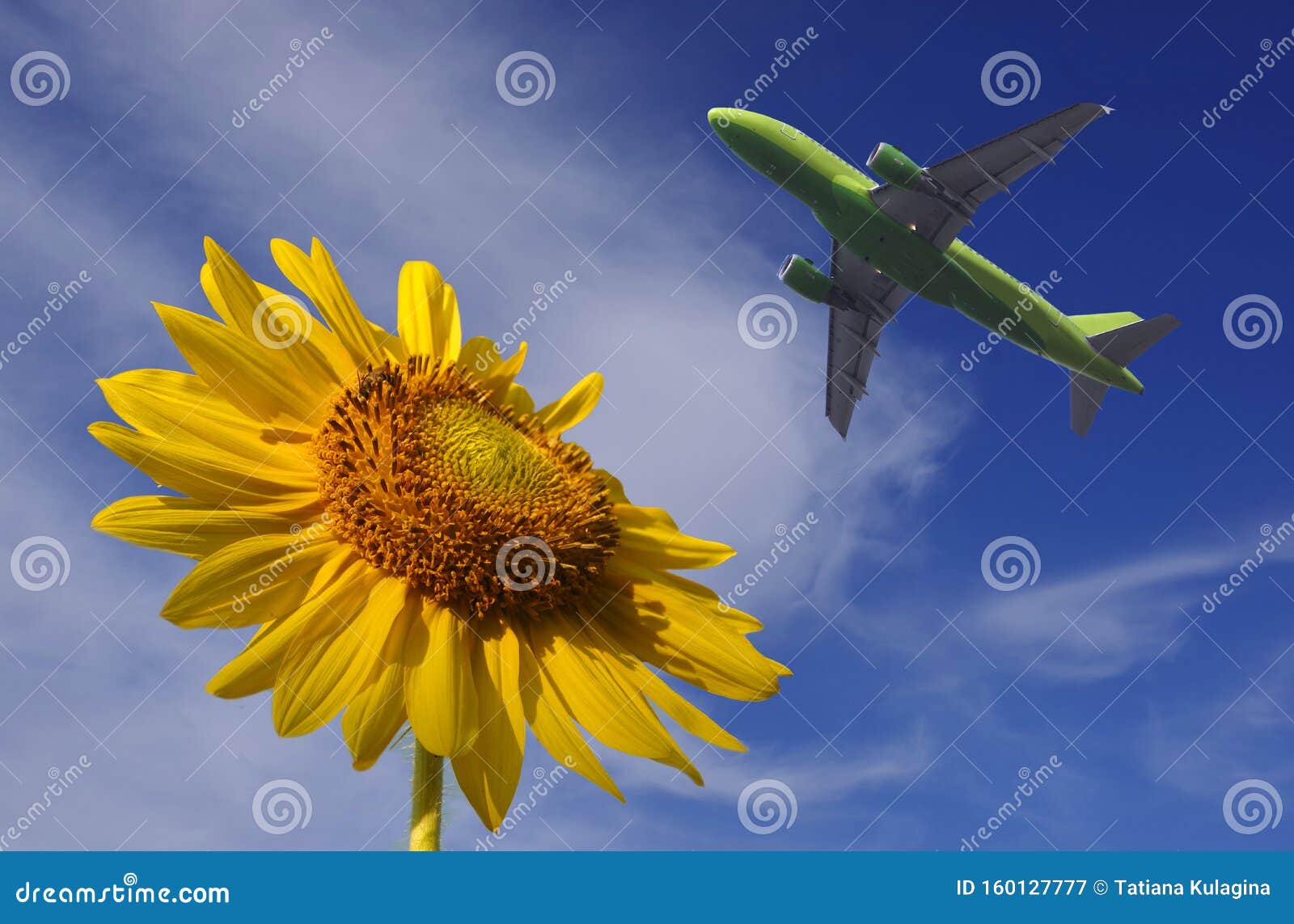 Airplane and sunflower. stock image. Image of island - 160127777