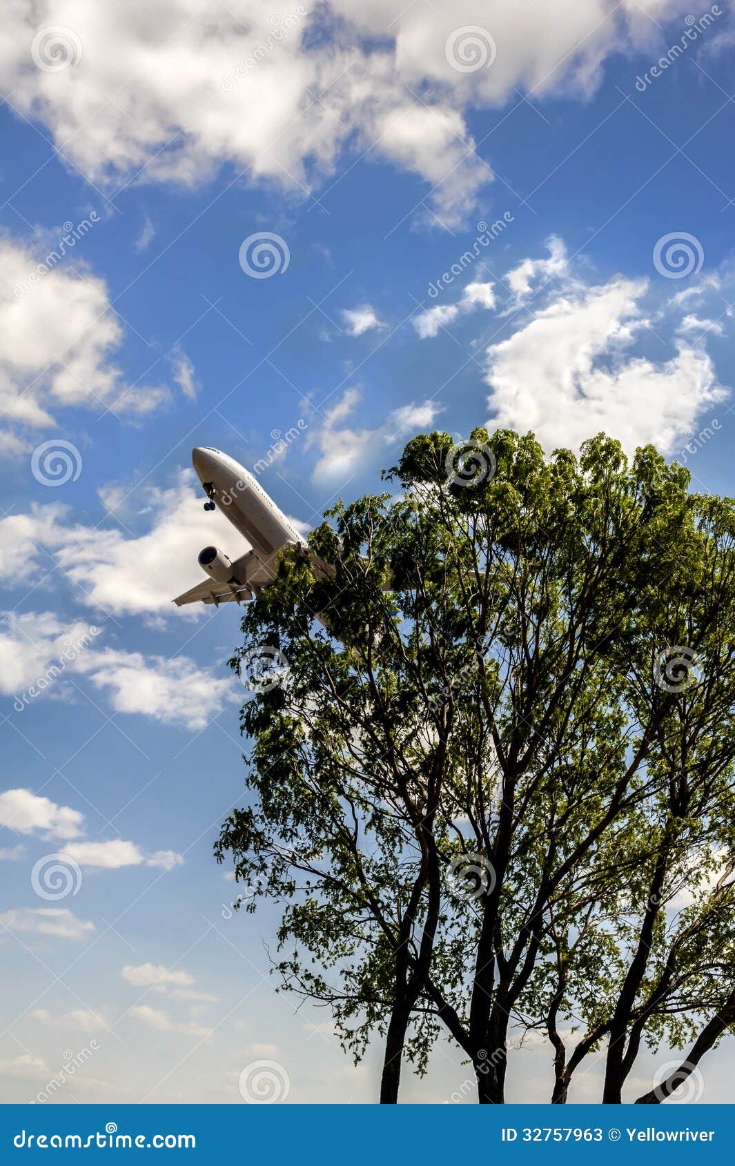 A plane fly over the tree stock image. Image of environment - 32757963