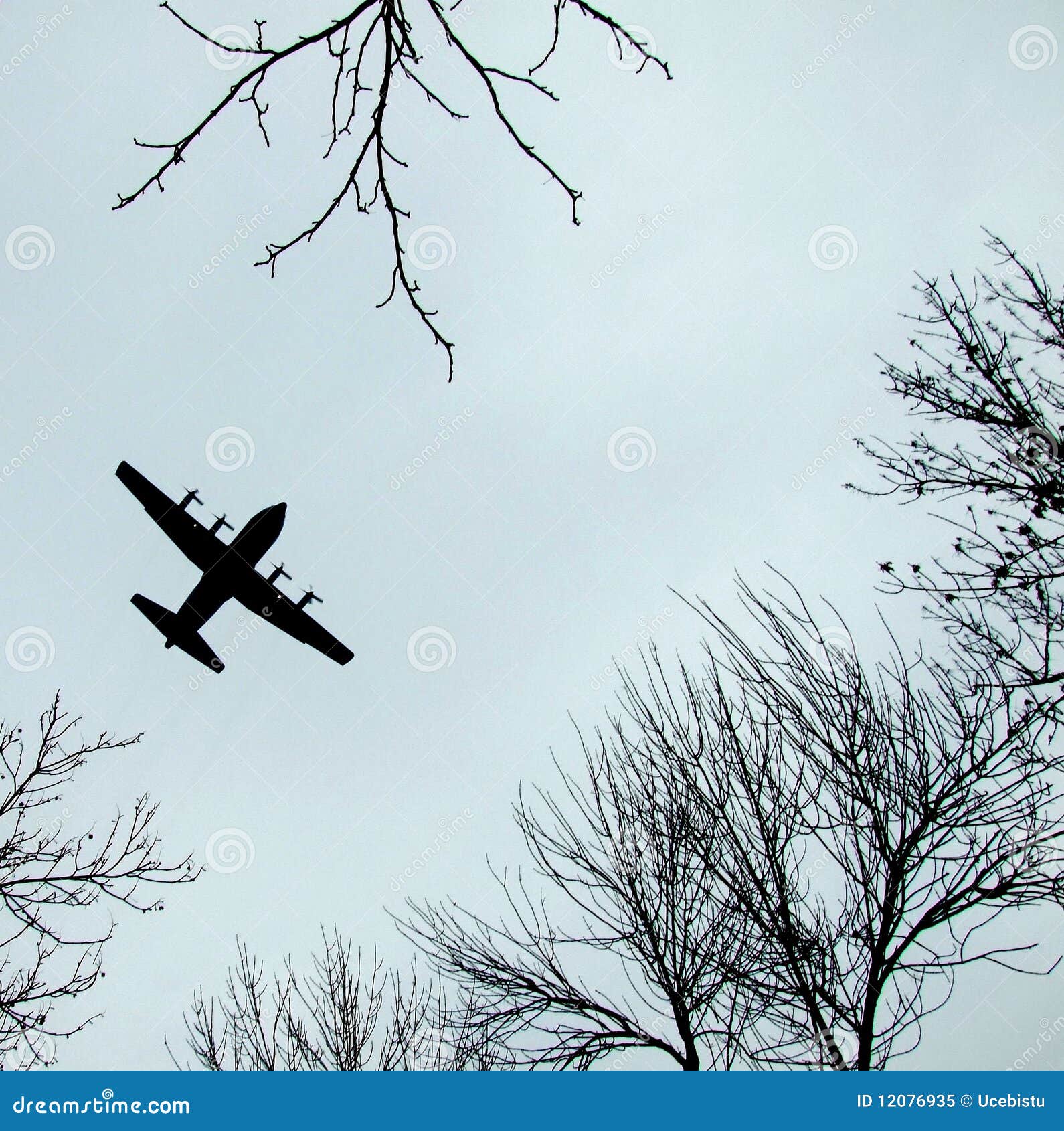 Plane Flying Above the Trees Stock Image - Image of extreme, vehicle ... Plane Flying Above the Trees Stock Image - Image of extreme, vehicle ...