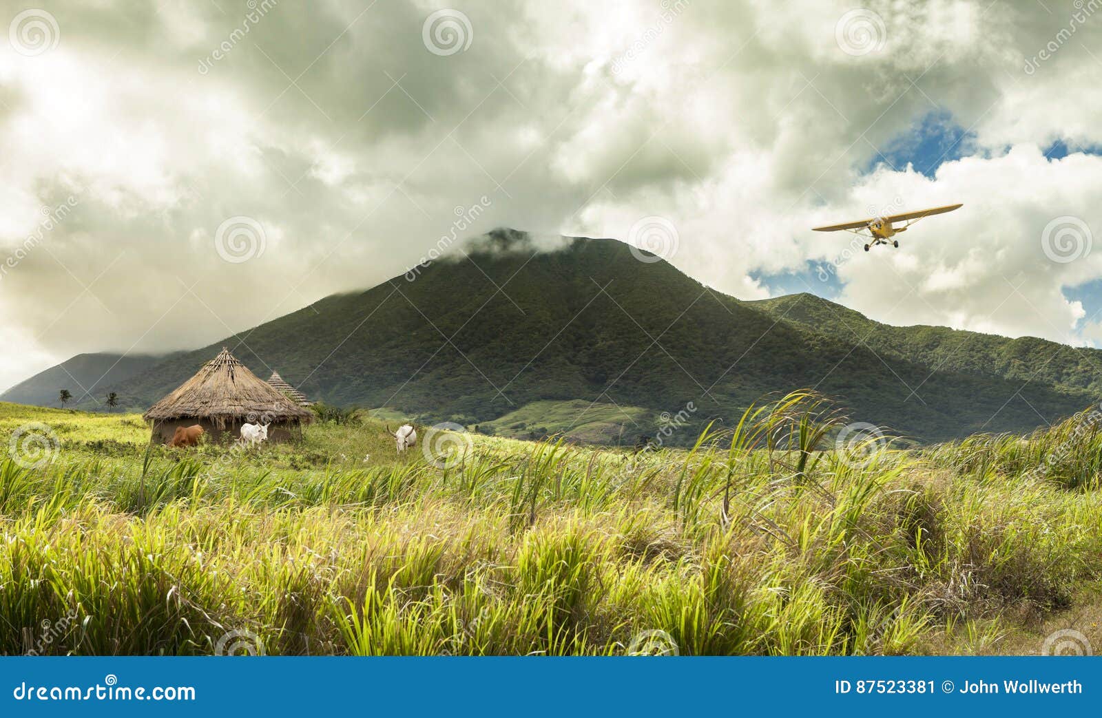 159 Cattle Plane Stock Photos - Free & Royalty-Free Stock Photos from ...