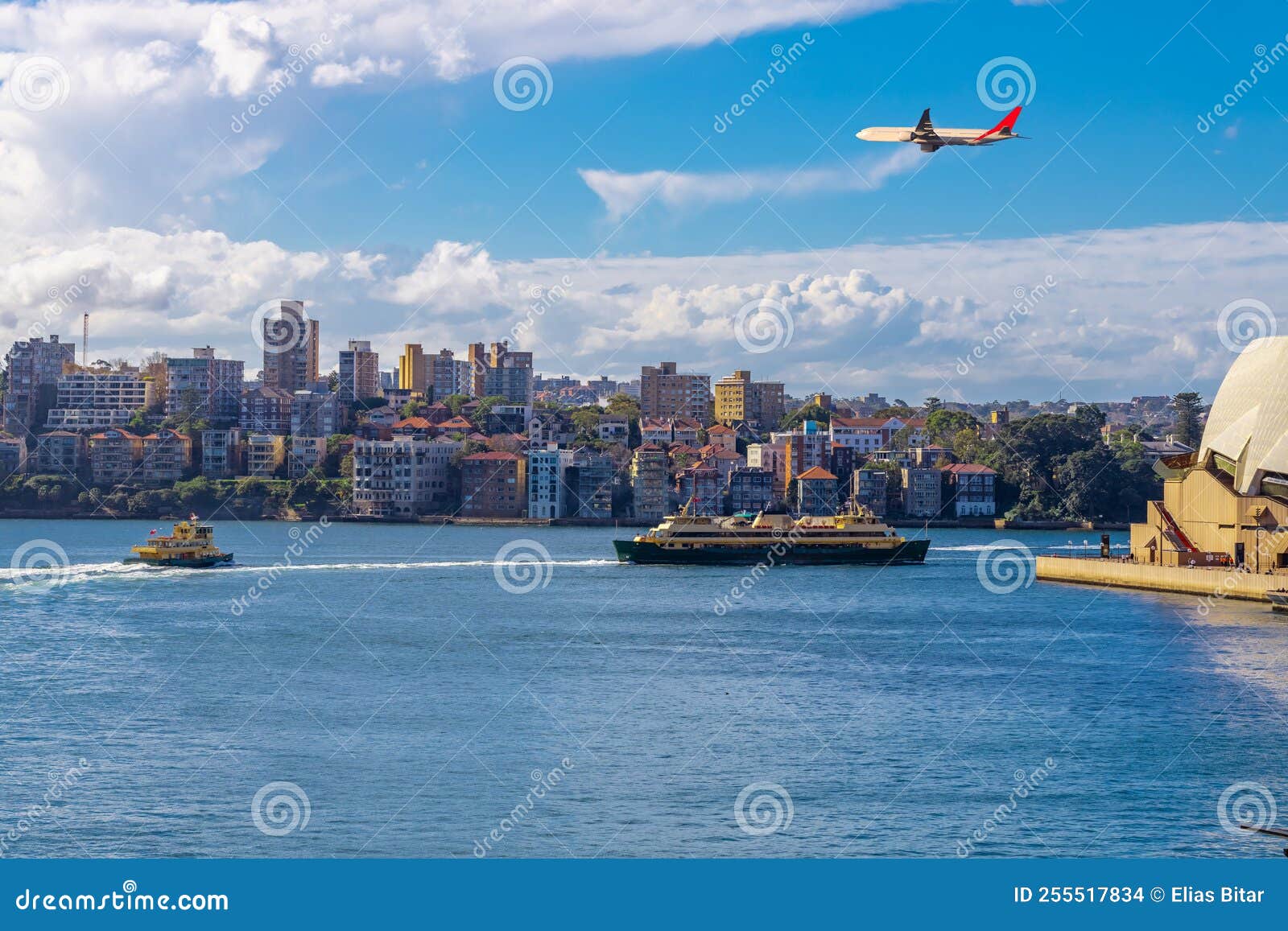Plane Flying Over Sydney Harbour Sydney NSW Australia. Stock Photo ...