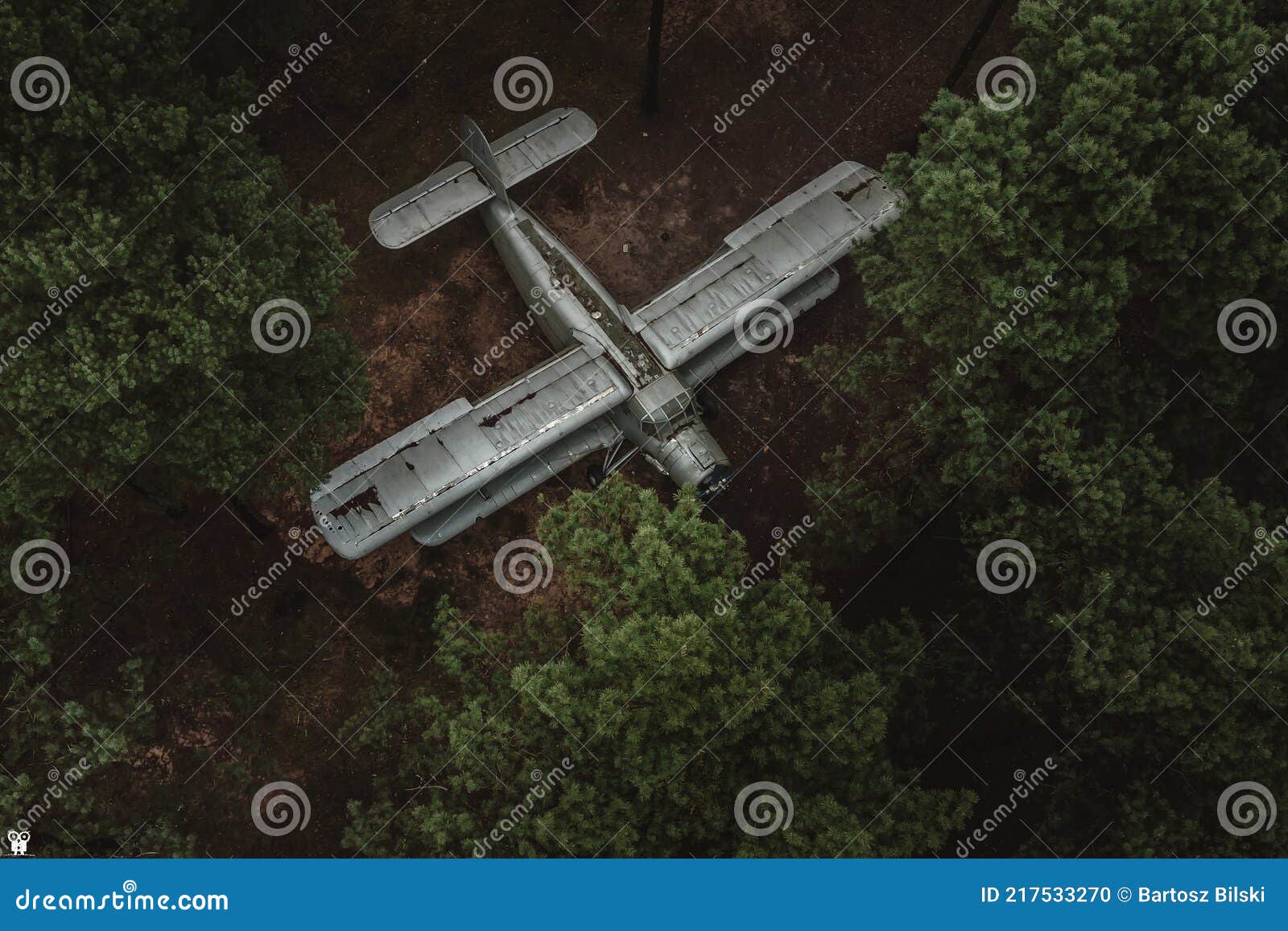 Smuggler plane stock photo. Image of vehicle, forest - 217533270