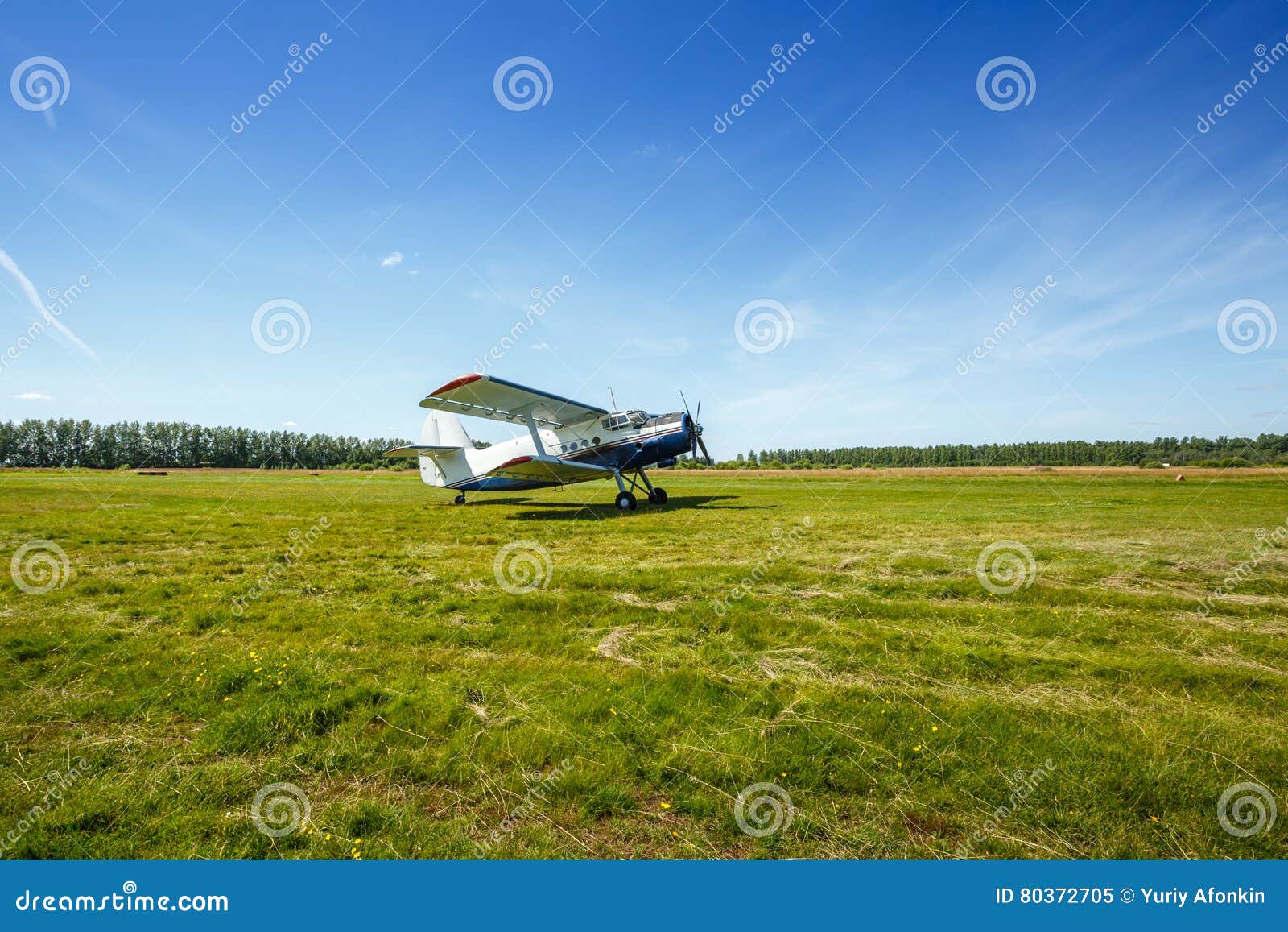 The Plane Stands on the Grass Field Stock Image - Image of summer ...